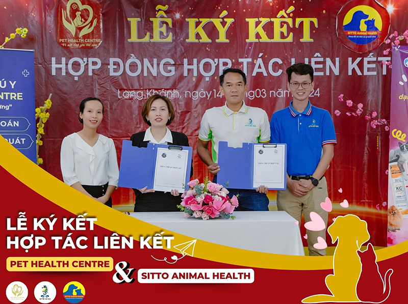 Sitto: Chính thức tham gia thị trường thức ăn và chăm sóc thú cưng ...